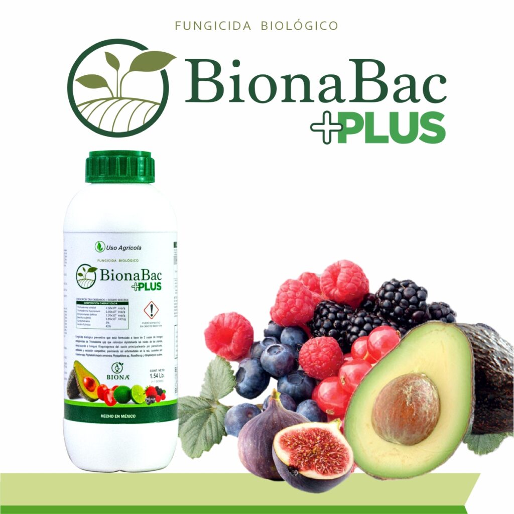 SERVICIOS – Biona | Microbiología Agrícola